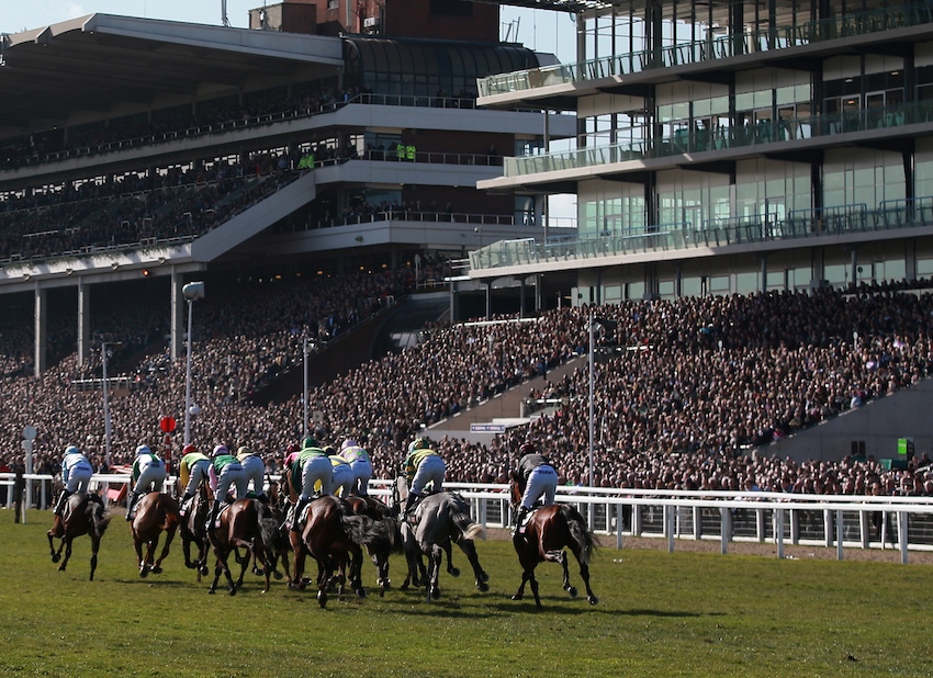 Cheltenham Eyecatchers: Three horses you should back later this season